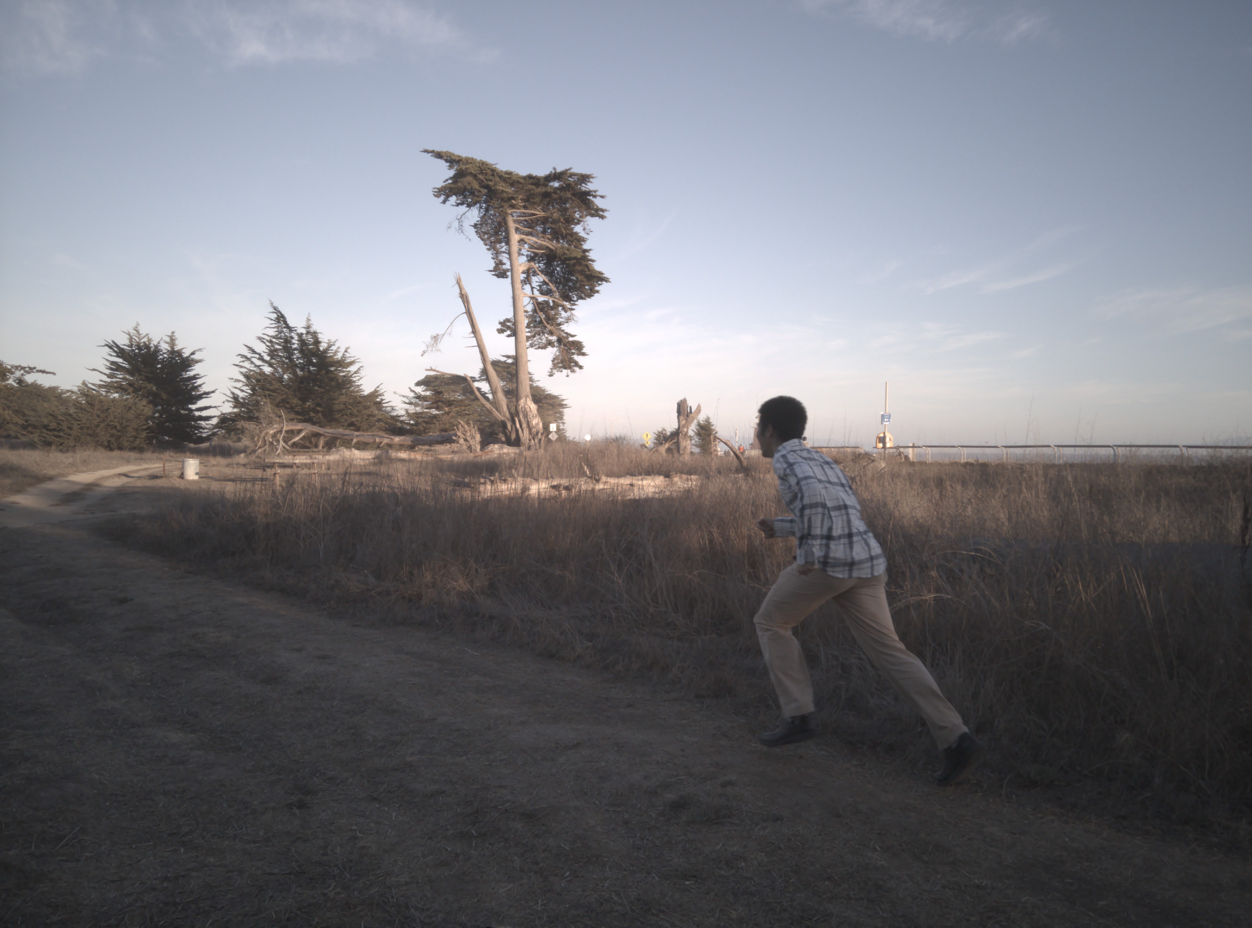 FlexISP: A Flexible Camera Image Processing Framework